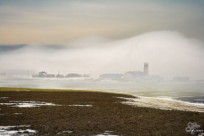 Gino Caron Photographe | Brouillard II - Gino Caron Photographe